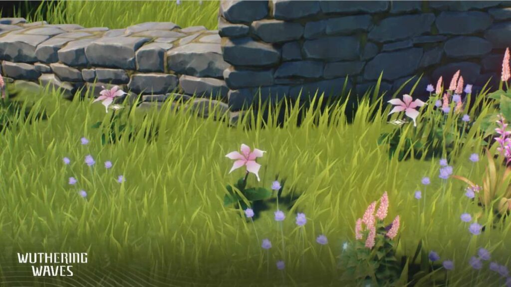 Wuthering Waves Interactive Map: Locations, Items, and More - Joytify ...